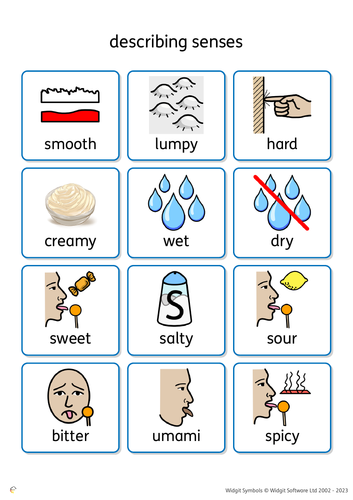 Senses Widgit | Teaching Resources