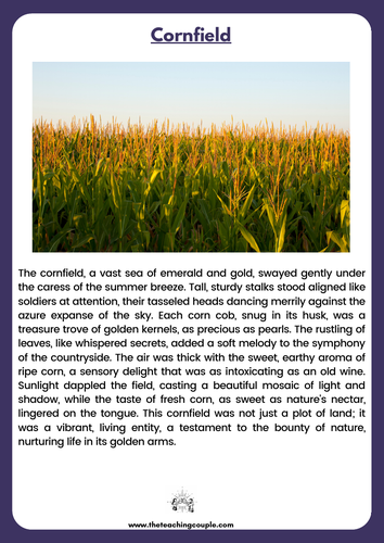 Ten Descriptive Paragraph Examples | Teaching Resources