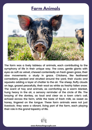 Ten Descriptive Paragraph Examples | Teaching Resources