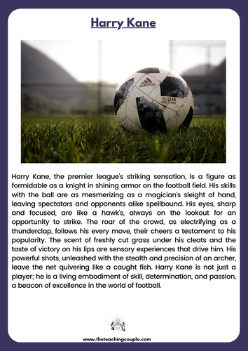 Ten Descriptive Paragraph Examples | Teaching Resources