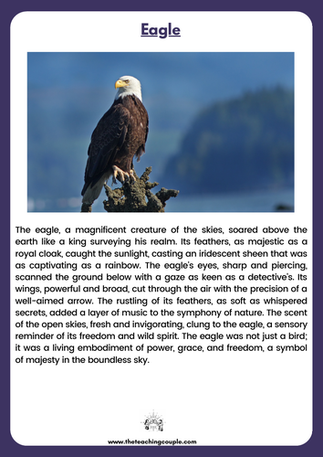 Ten Descriptive Paragraph Examples | Teaching Resources