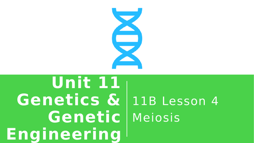 BTEC AppSci 11B L4 Meiosis | Teaching Resources