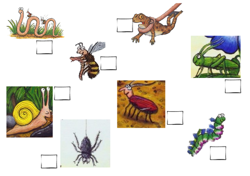 Superworm bug hunt | Teaching Resources