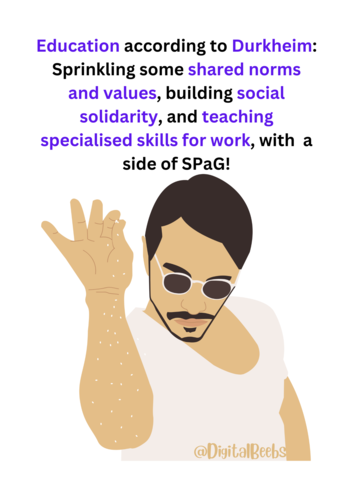 Sociology Meme Posters (x13) | Teaching Resources