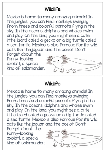Mexico: Country study - Mini book - Geography | Teaching Resources