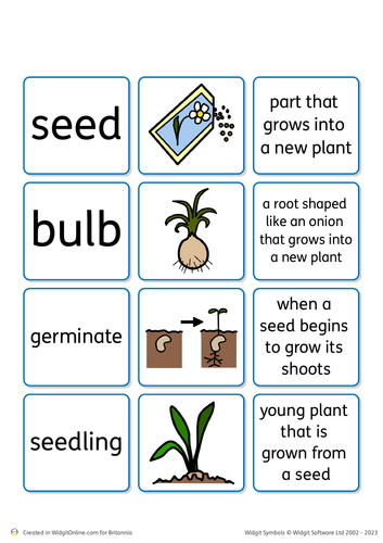 Year 1 Plants Unit (Planning and Resources) | Teaching Resources