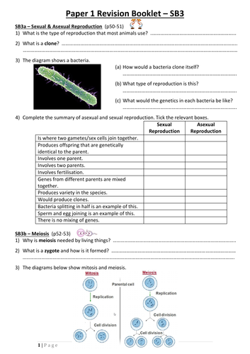 SB3 Revision Booklet (Edexcel GCSE Biology - Single Science) | Teaching Resources