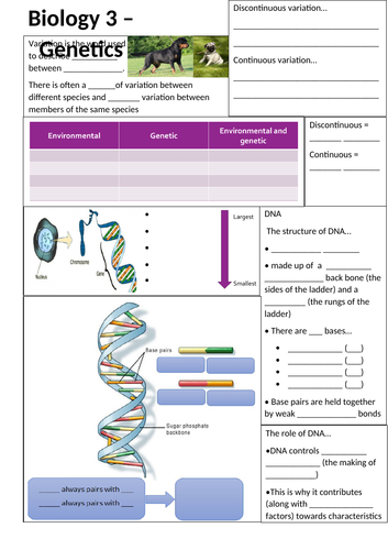 Edexcel CB3 revision ppt & worksheets | Teaching Resources