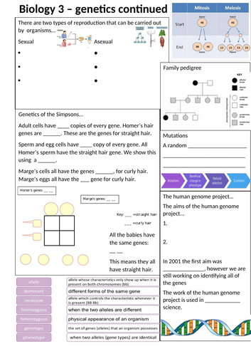 Edexcel CB3 revision ppt & worksheets | Teaching Resources
