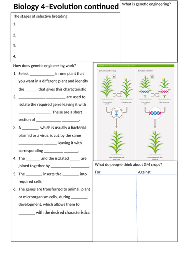 Edexcel CB4 revision ppt & worksheets | Teaching Resources