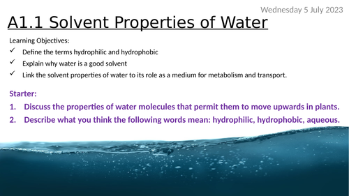 IB Biology A1.1 Water (first assessment 2025) | Teaching Resources