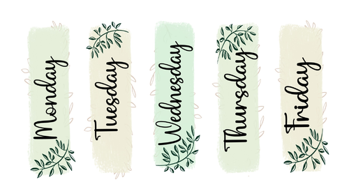 Natural botanical leaf classroom decor display pack | Teaching Resources