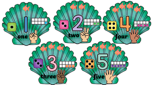 Shell numbers 1-5 | Teaching Resources