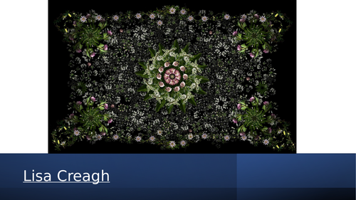 Photography GCSE and A level Lisa Creagh Scanography full unit ...