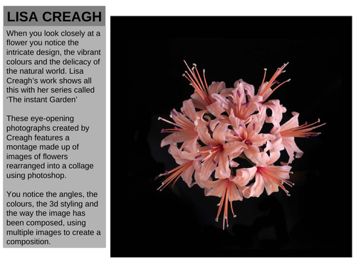 Photography GCSE and A level Lisa Creagh Scanography full unit ...