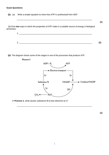 AQA A level Biology - 3.5.1 Photosynthesis 2 - The LDR | Teaching Resources