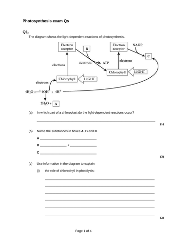AQA A level Biology - 3.5.1 Photosynthesis 3 - The Light Independent ...