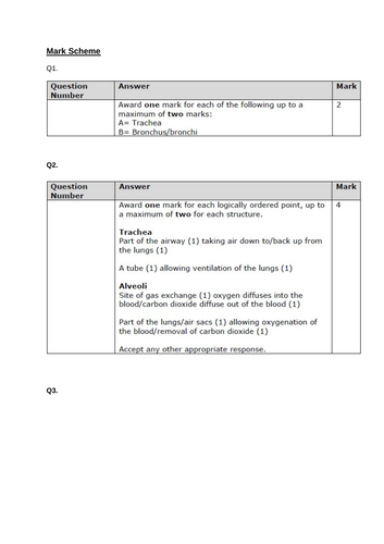 Unit 3 A&P (H&SC) mini mocks | Teaching Resources
