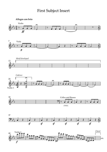 Beethoven Fifth Symphony Mvt 1 LISTENING | Teaching Resources