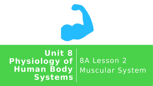 BTEC AppSci 8A L2 Muscular System | Teaching Resources