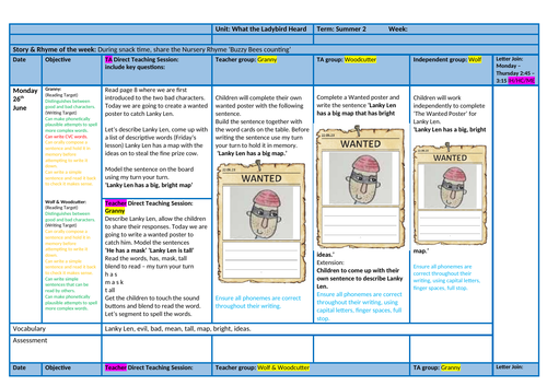 What the Ladybird Heard - EYFS Planning | Teaching Resources
