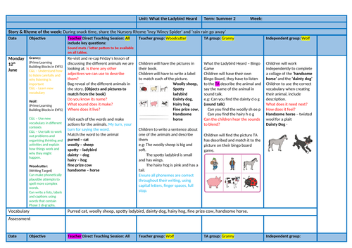 What the Ladybird Heard - EYFS Planning | Teaching Resources