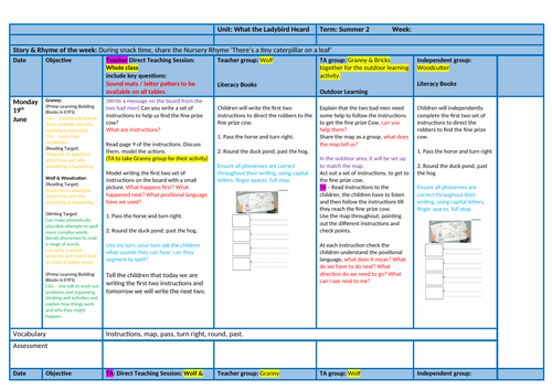 What the Ladybird Heard - EYFS Planning | Teaching Resources