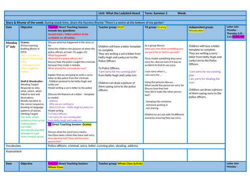 What the Ladybird Heard - EYFS Planning | Teaching Resources