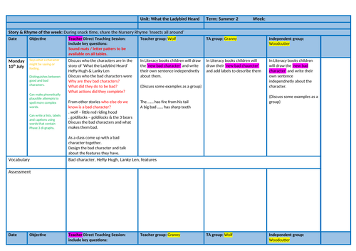 What the Ladybird Heard - EYFS Planning | Teaching Resources