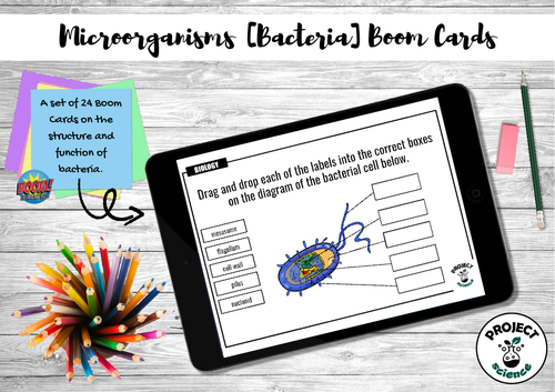 Microorganisms-Bacteria-Boom Cards™ - Distance Learning | Teaching ...