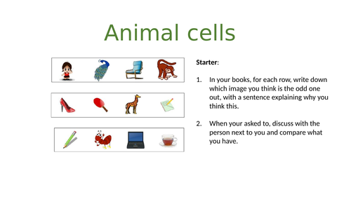 Animal cells | Teaching Resources