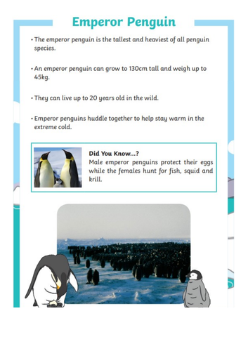 Antarctica Key stage 3 | Teaching Resources