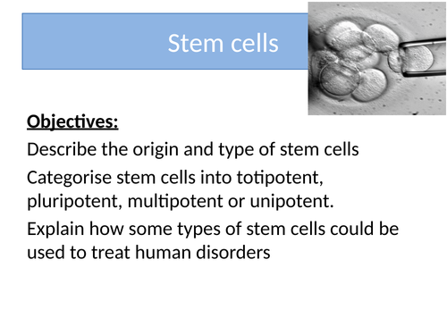 Stem cells A level Biology | Teaching Resources