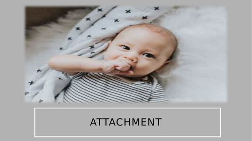 AQA Psychology attachment end of unit lesson | Teaching Resources
