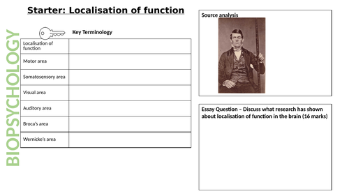 AQA Psychology split-brain research biopsychology | Teaching Resources