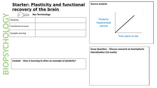 AQA Psychology ways of investigating the brain biopsychology | Teaching ...