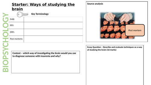 AQA Psychology circadian rhythms biopsychology | Teaching Resources