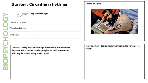 AQA Psychology ultradian and infradian rhythms biopsychology | Teaching ...