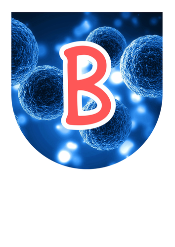 Biology display letters - Science classroom displays | Teaching Resources