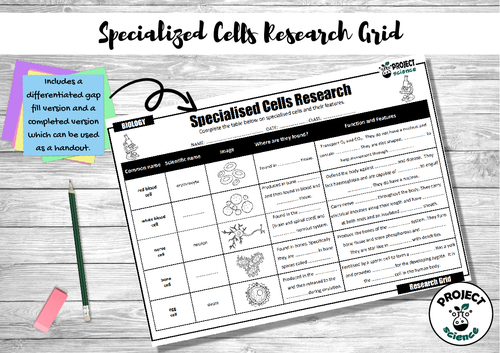 Specialised Cells Research Grid | Teaching Resources