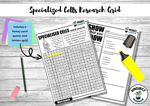 Specialised Cells Research Grid | Teaching Resources