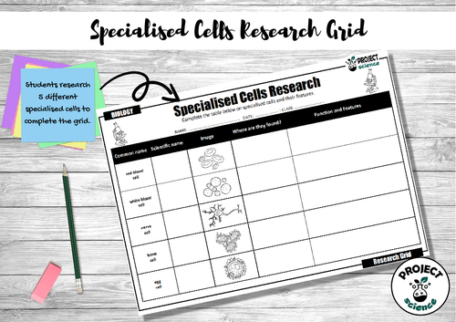 Specialised Cells Research Grid | Teaching Resources