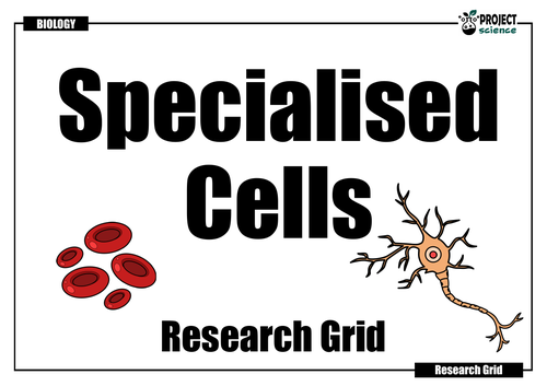 Specialised Cells Research Grid | Teaching Resources