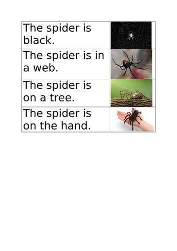 Aaarghh Spider EYFS Planning unit | Teaching Resources