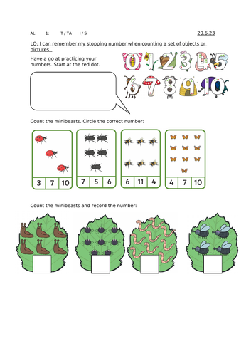 Minibeast maths EYFS | Teaching Resources