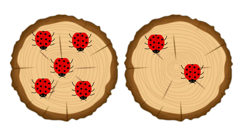 Minibeast maths EYFS | Teaching Resources