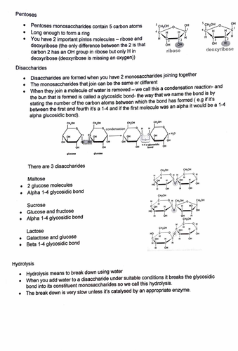 A Level Biology - Carbs, Proteins & Lipids | Teaching Resources