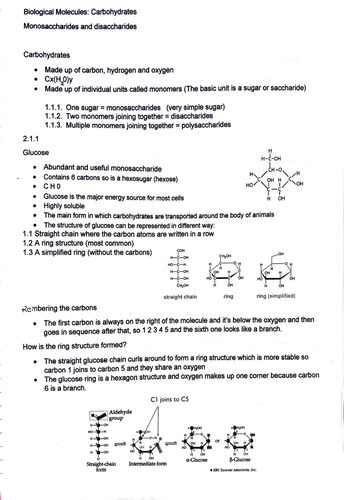 A Level Biology - Carbs, Proteins & Lipids | Teaching Resources
