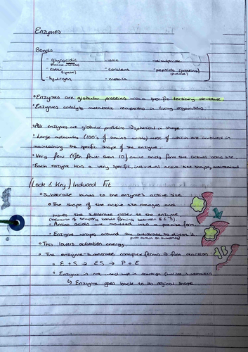 A Level Biology AQA - Enzymes | Teaching Resources