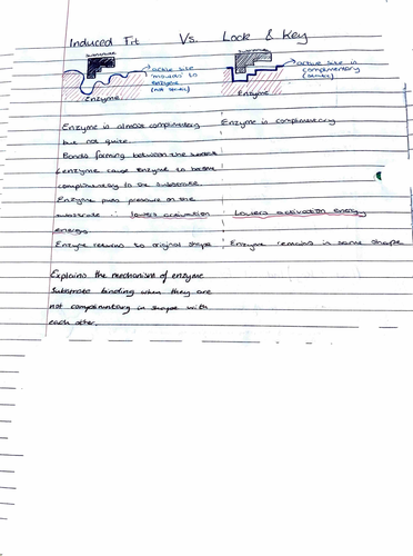 A Level Biology AQA - Enzymes | Teaching Resources